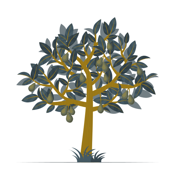 Avocado Tree Illustration